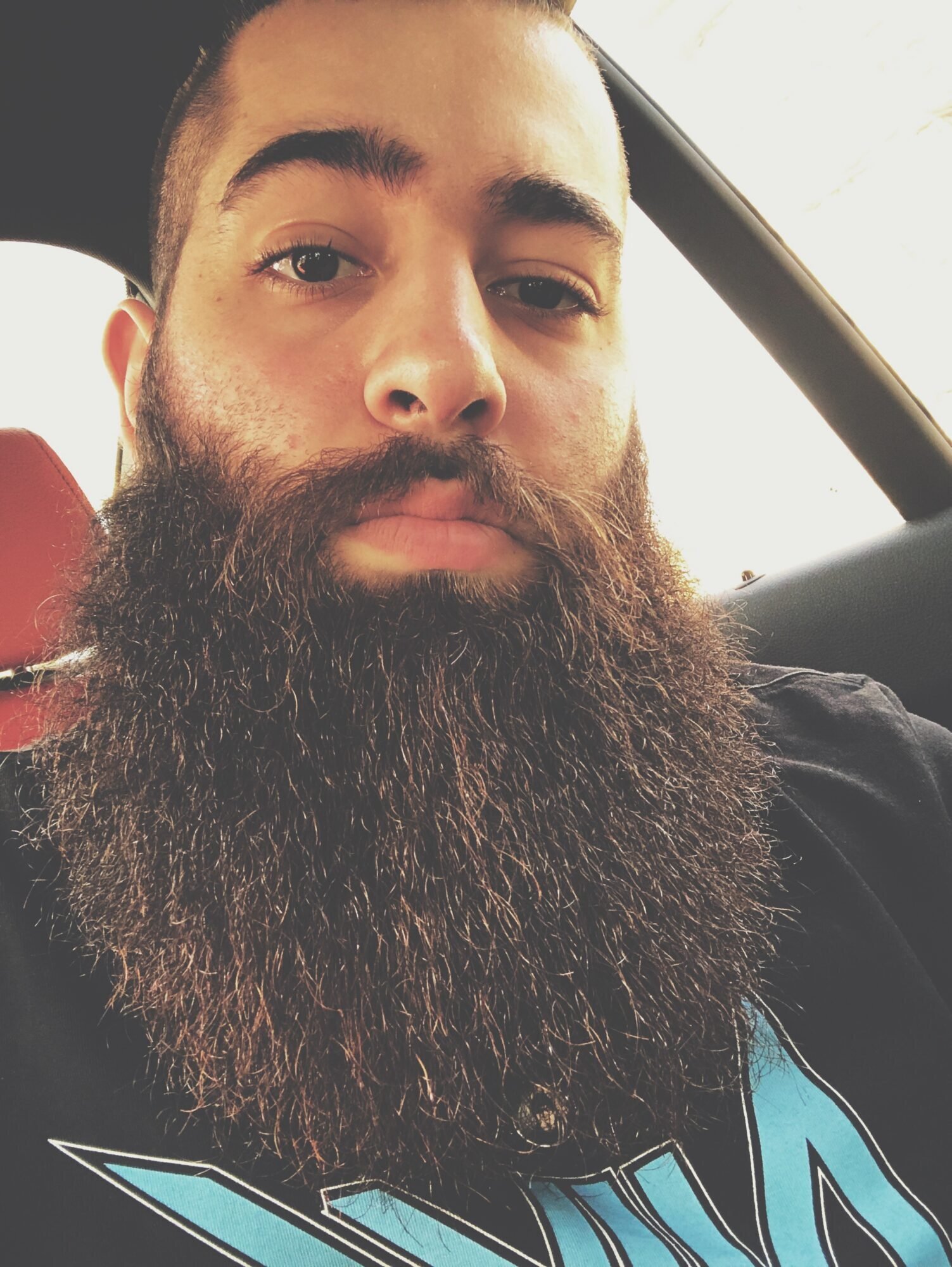 Optimistic Human - Dulcedo